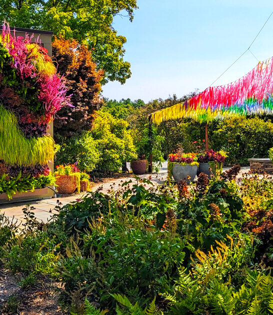 enchanting botanical garden massachusetts ftr