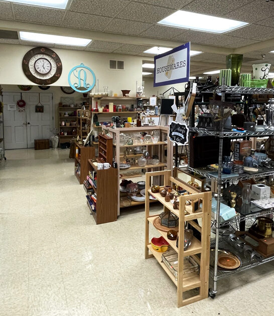 endless thrift store tennessee ftr