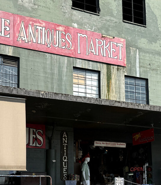 enormous antique store washington FTR