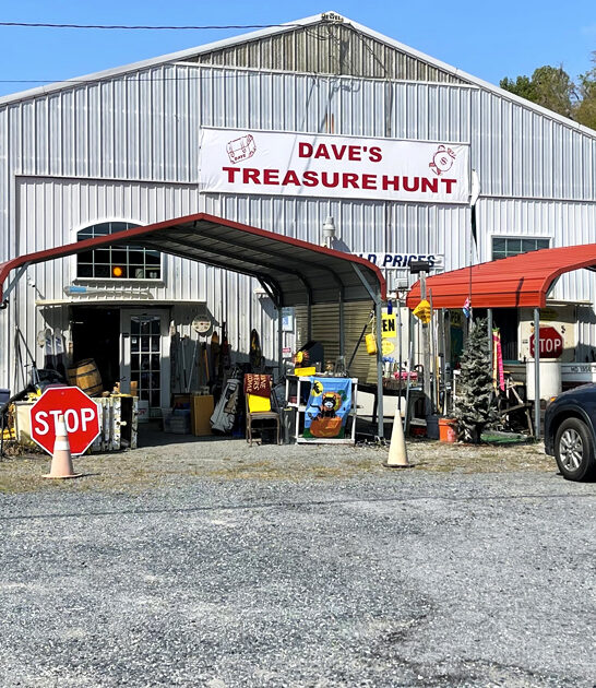 enormous bazaar delaware find ftr