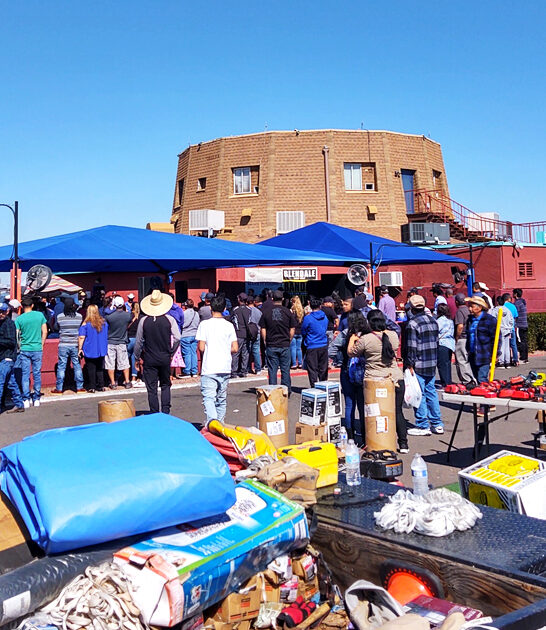 enormous flea arizona treasure ftr