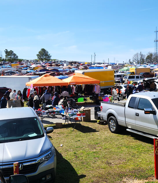 enormous flea discounts alabama ftr