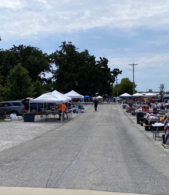 enormous flea missouri locals ftr