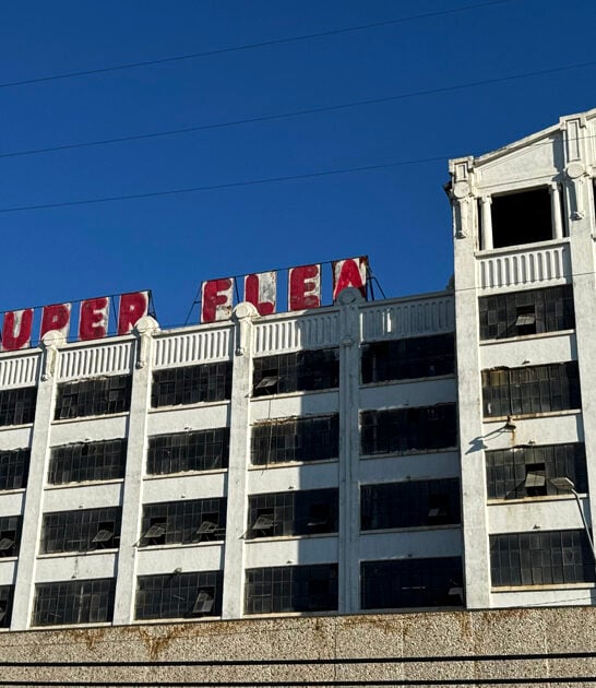 enormous flea missouri stretches ftr