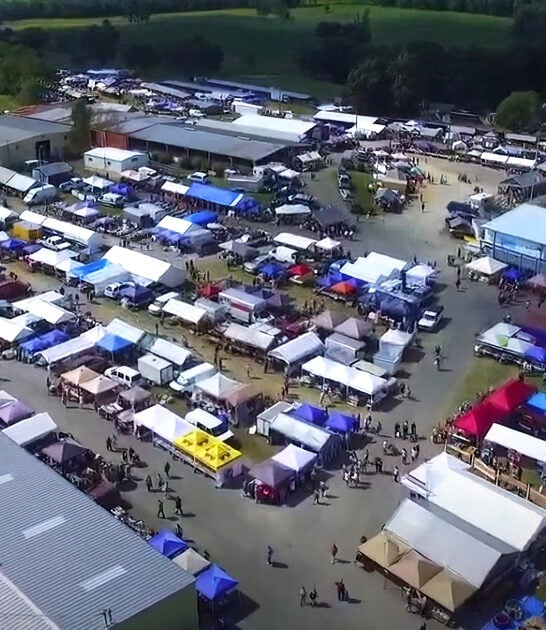 enormous flea virginia hunting ftr