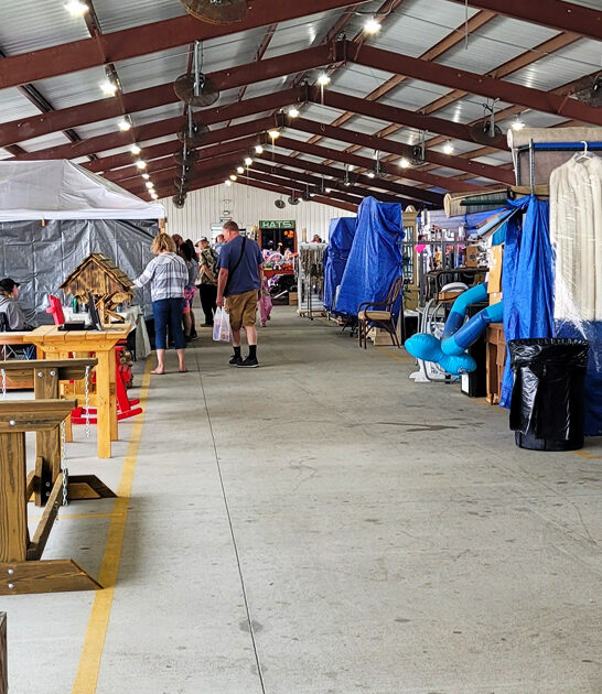 enormous florida bargain seekers ftr