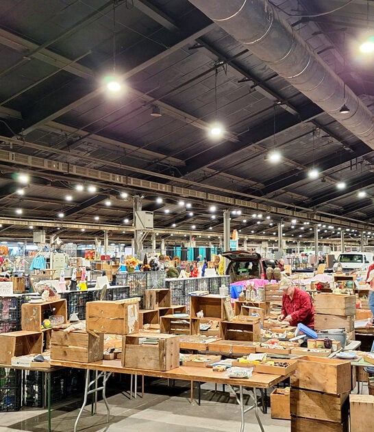 enormous kentucky market flea ftr