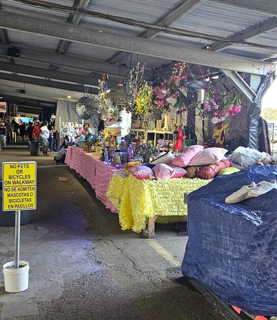 enormous louisiana backseat bargains ftr