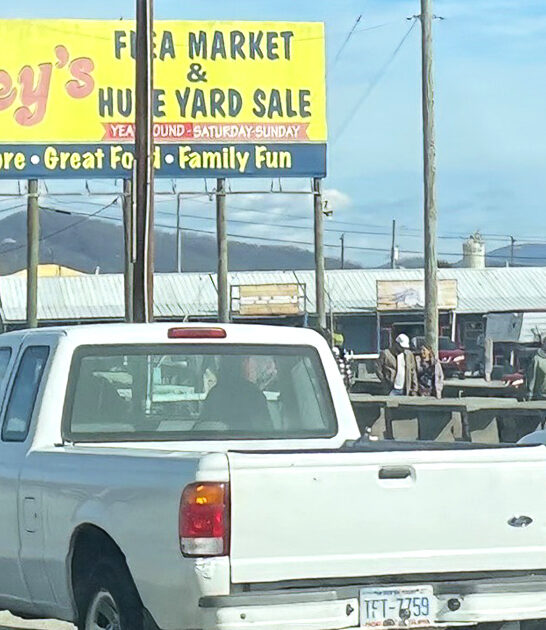 enormous north carolina bargains ftr