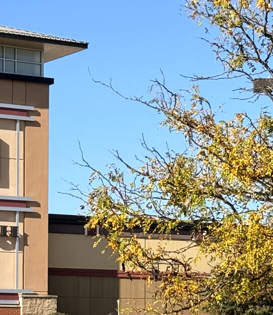 enormous outlet deals missouri ftr