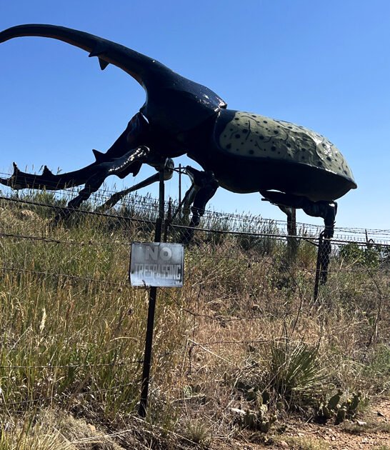 enormous roadside attraction colorado ftr