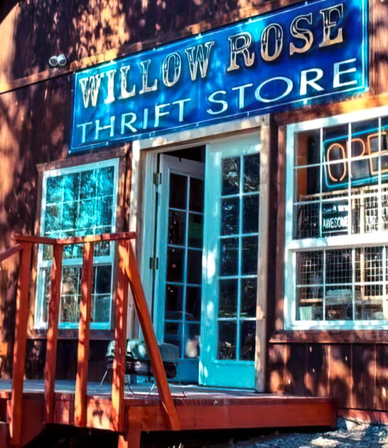 enormous secondhand stores alaska ftr