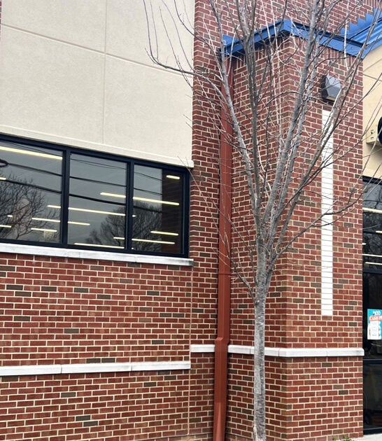 enormous shop kentucky finds FTR