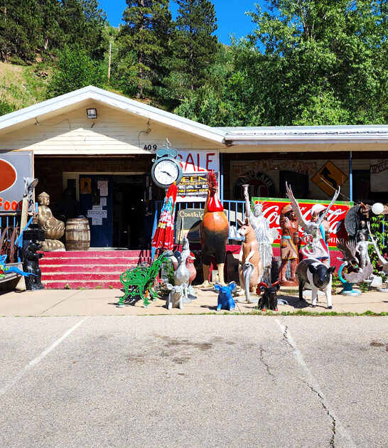 enormous south dakota store ftr