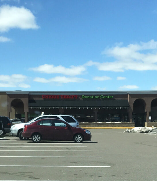 enormous store minnesota thrift ftr