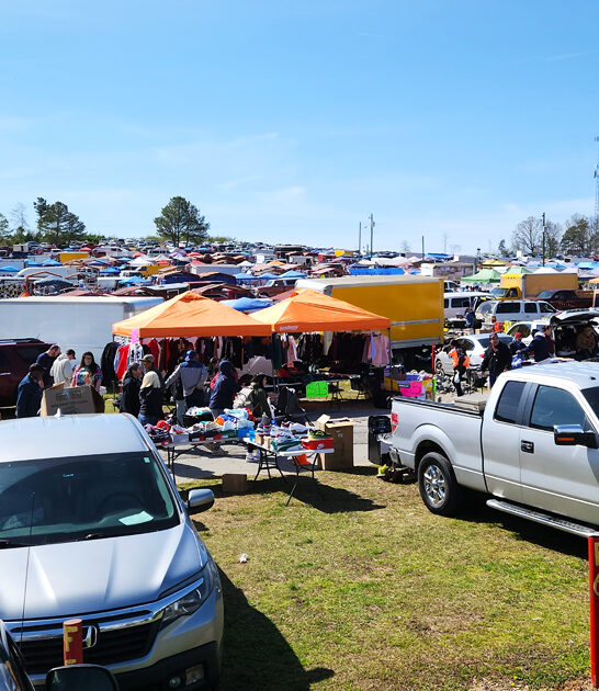 enormous swap meet alabama ftr