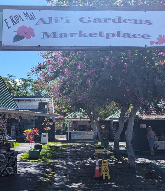 enormous swap meet hawaii ftr