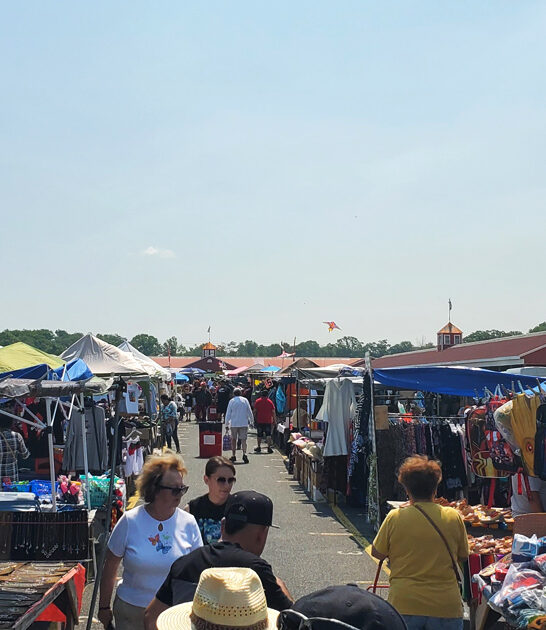 expansive new jersey flea ftr