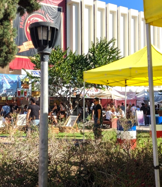 explore flea market california ftr
