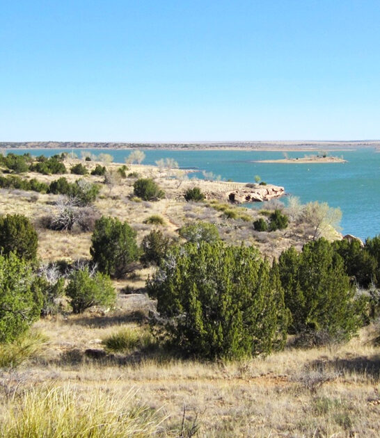 fanciest park new mexico ftr