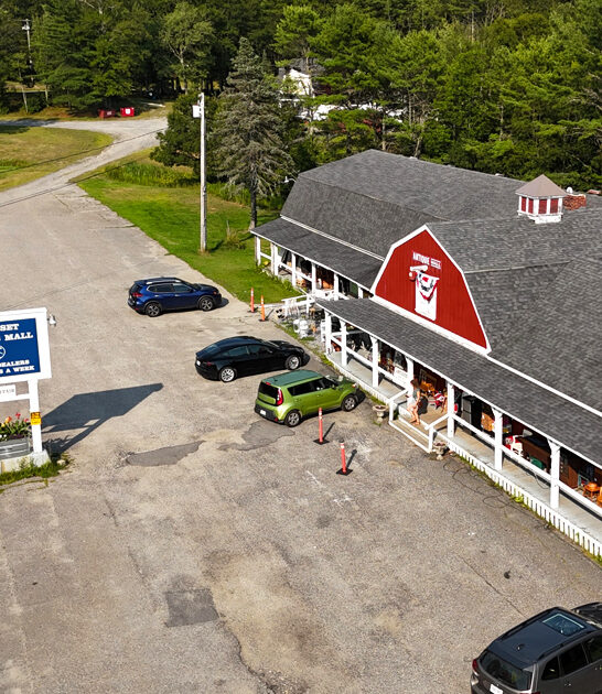 fanciest rare treasures maine ftr