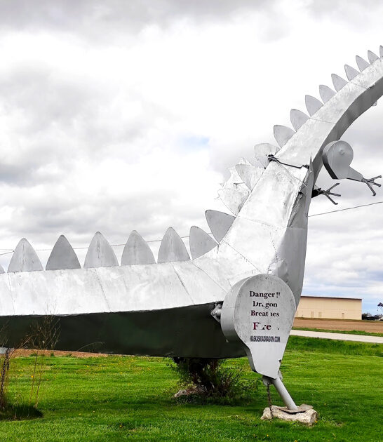 fascinating fancy attraction illinois ftr