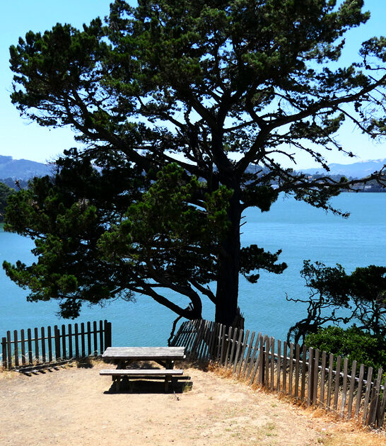 fascinating park california state ftr
