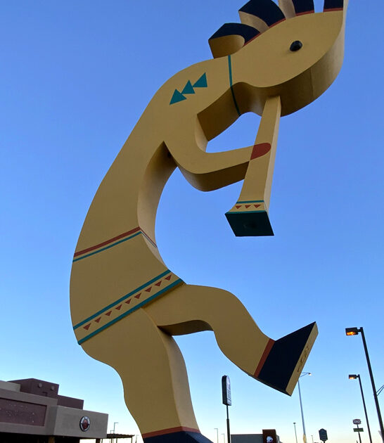 fascinating roadside arizona make ftr