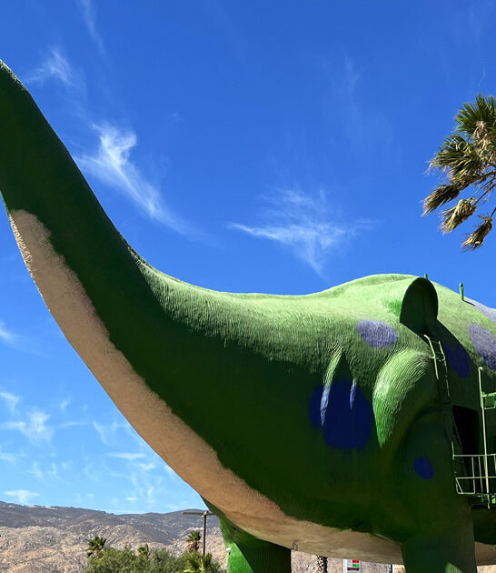 fascinatingly quirky dinosaur california ftr