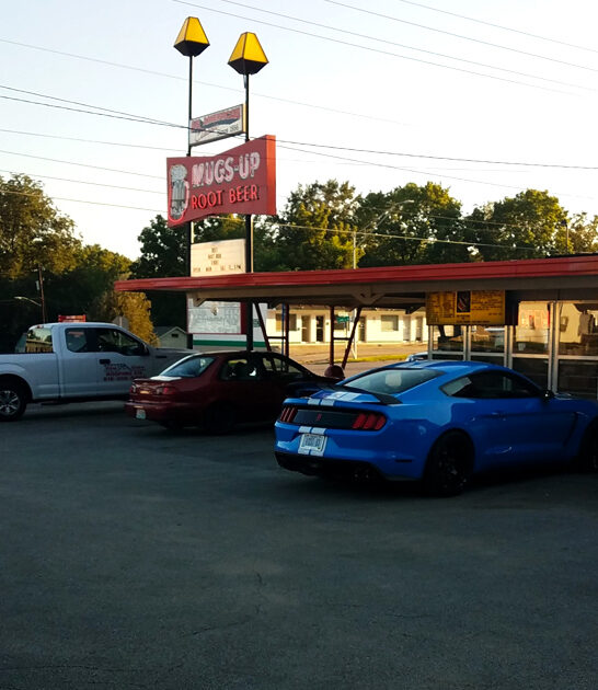 favorite diner fries missouri ftr