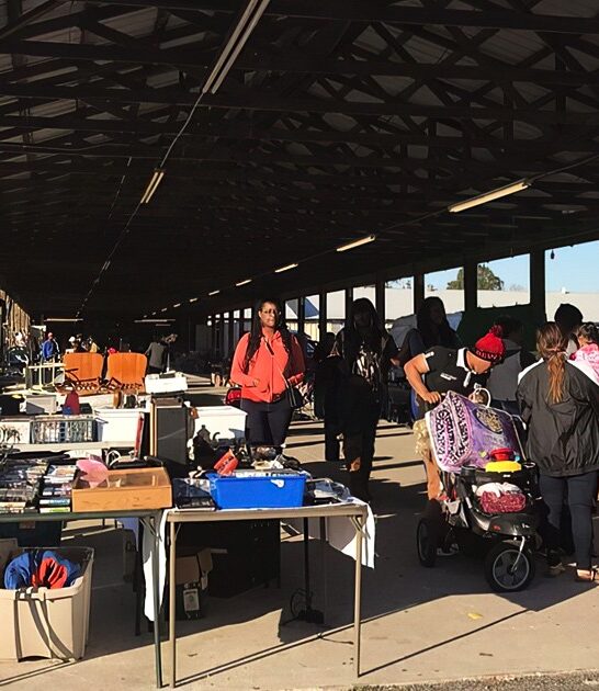 finds market florida rare ftr