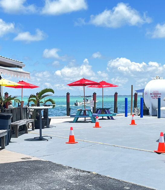 fish best chips florida ftr