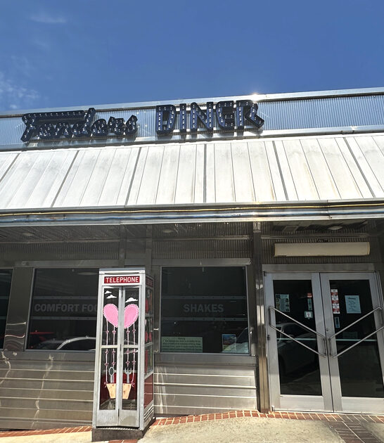 fish chips diner georgia ftr
