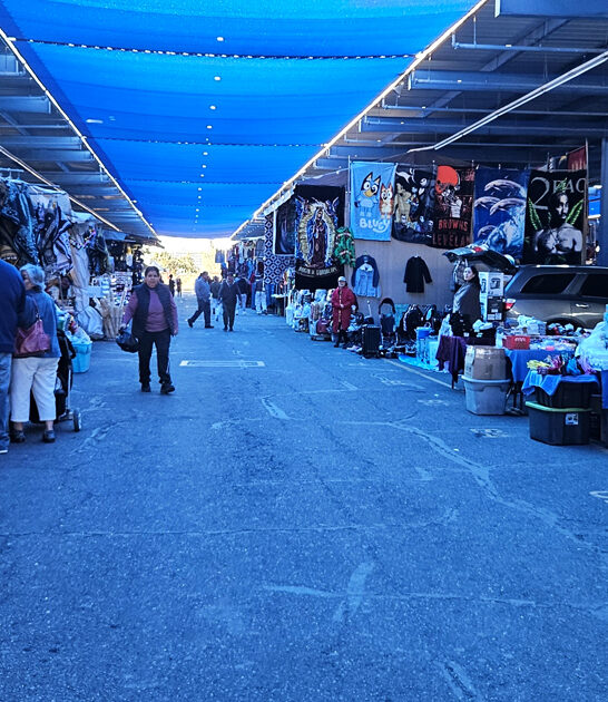 flea arizona dreams market ftr