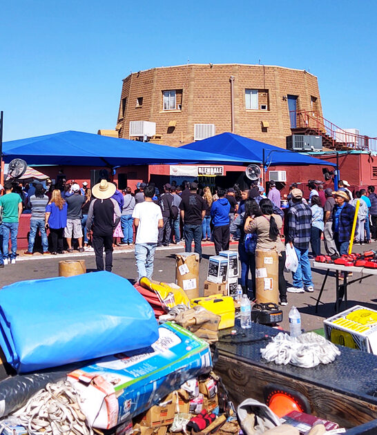 flea arizona massive market ftr