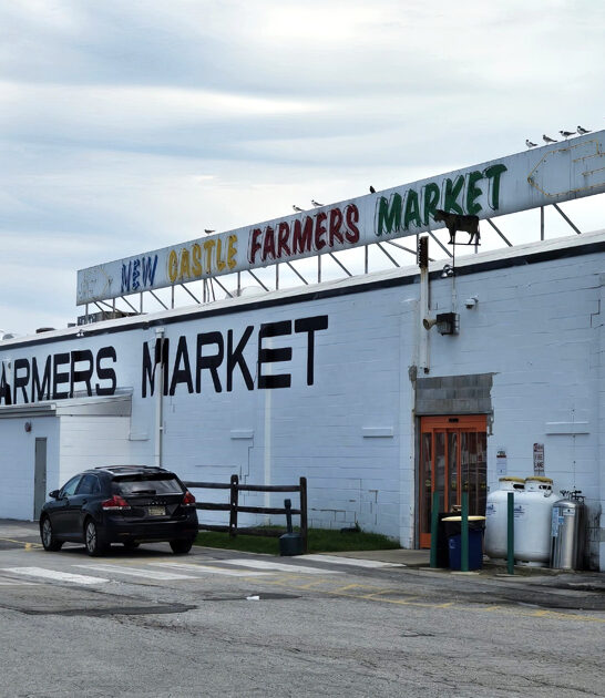 flea delaware enormous market ftr