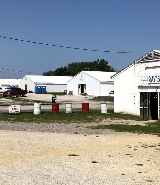 flea indiana massive markets ftr