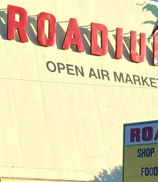 flea market california giant ftr