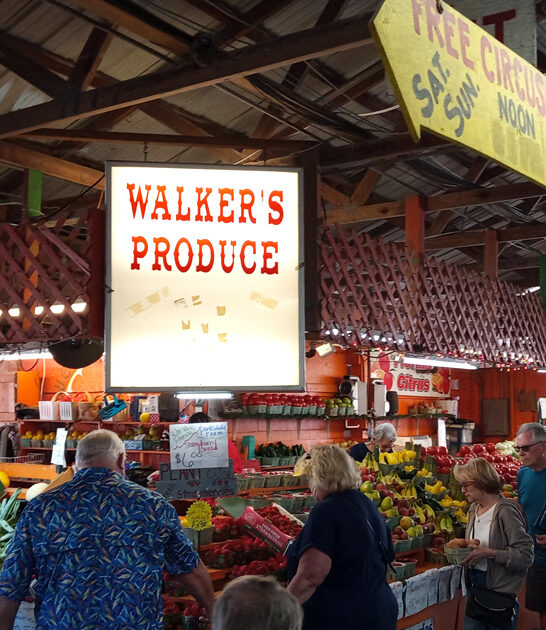 flea market finds florida ftr