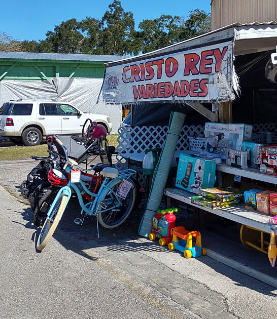 flea market florida wondrous ftr