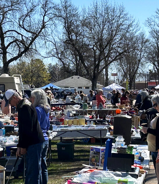 flea market magnificent wisconsin ftr