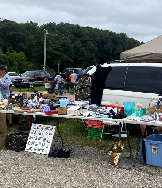 flea market michigan treasures ftr