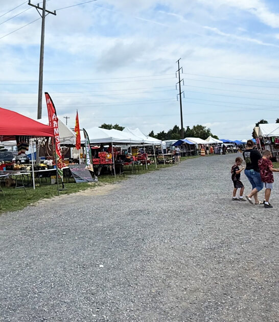 flea markets virginia trip ftr