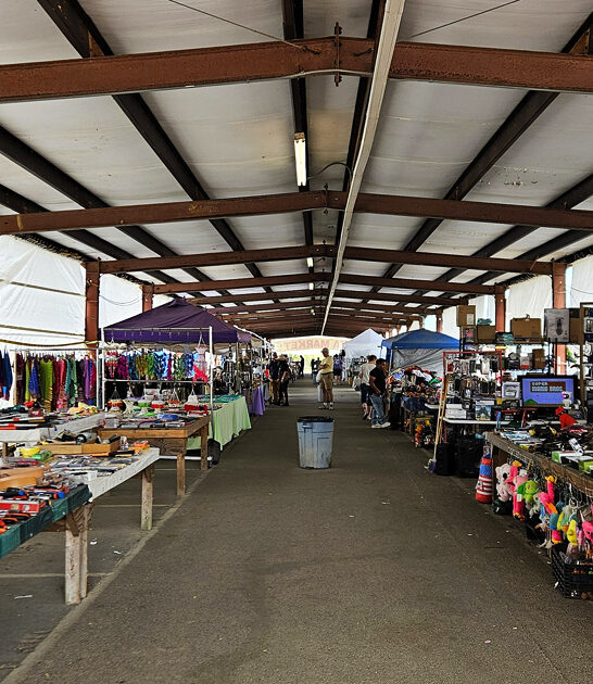 flea mississippi massive markets ftr