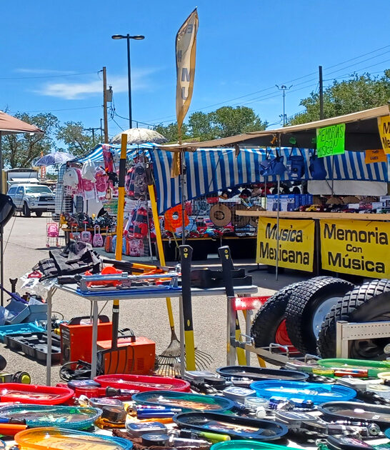 flea new mexico true ftr