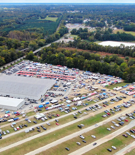 flea north carolina buy ftr