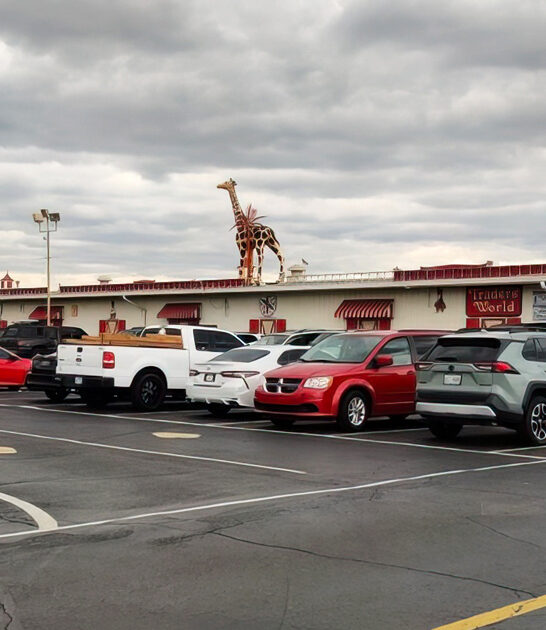 flea ohio bargain costco ftr