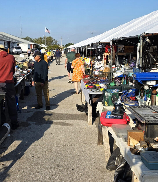 flea rare markets florida ftr