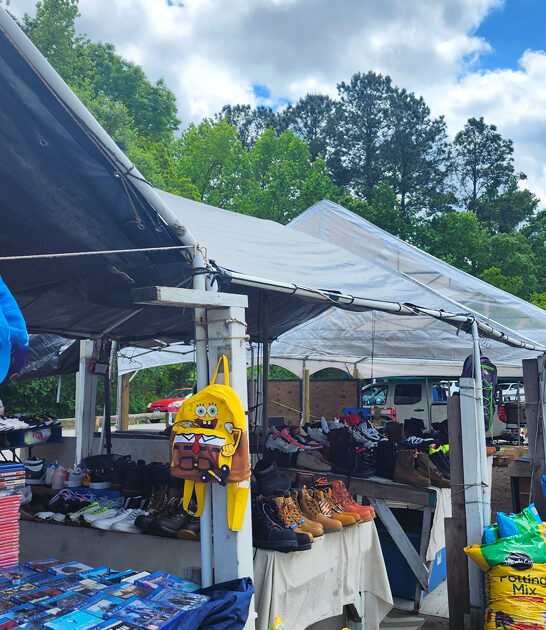 flea treasure south carolina ftr