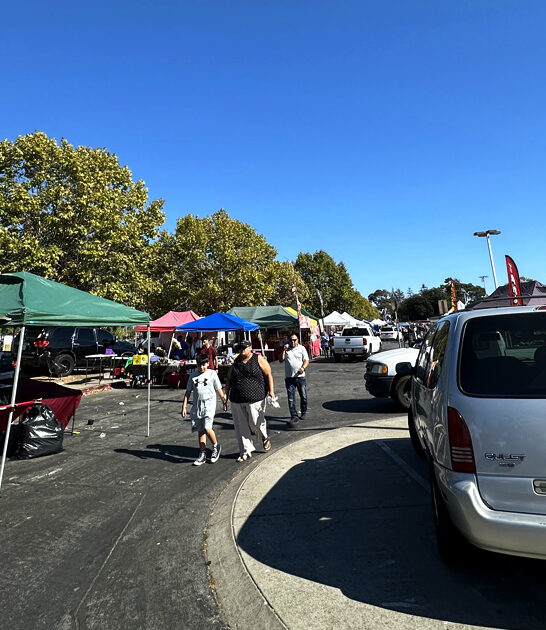 flea vast market california ftr
